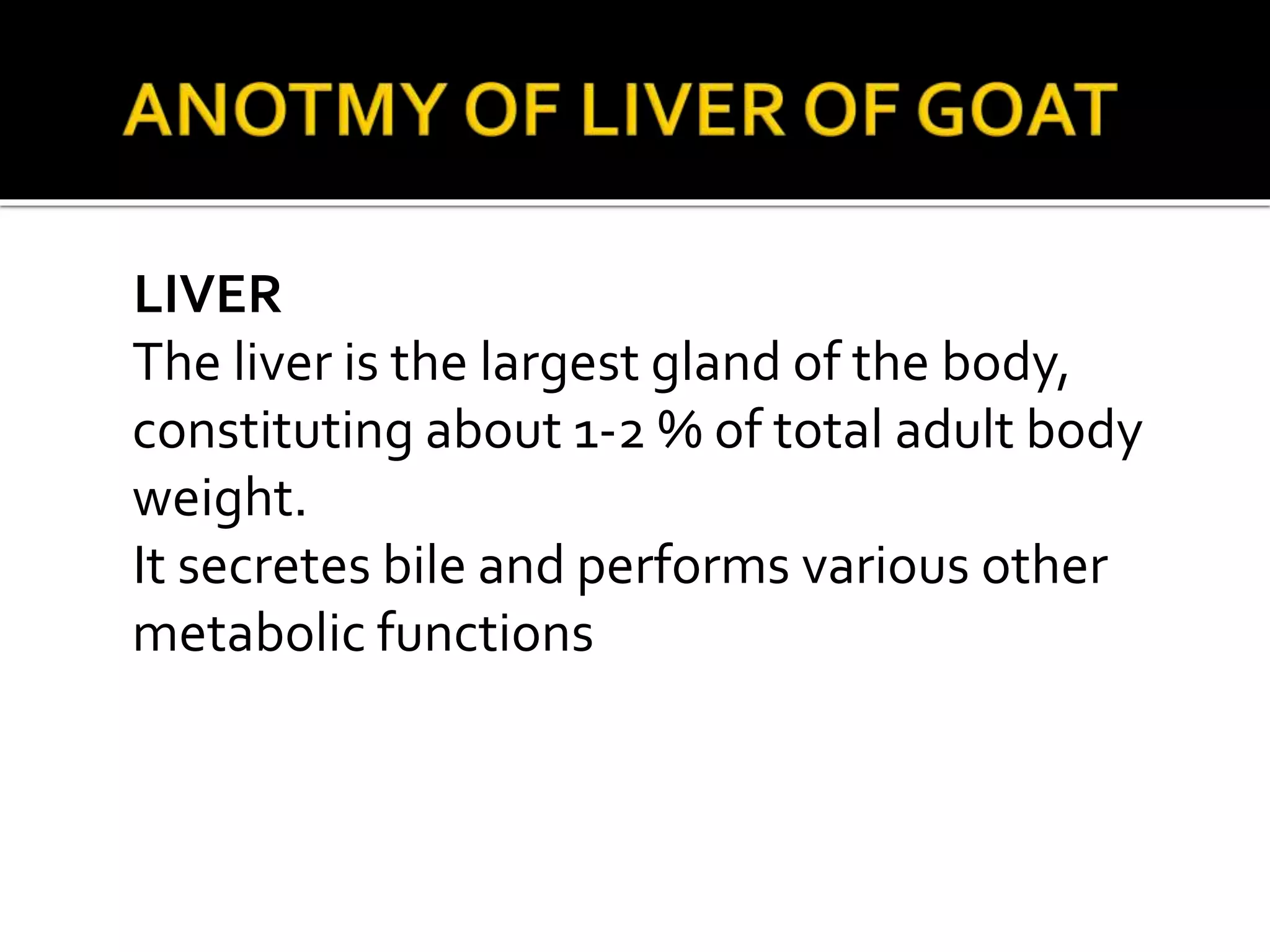 Anatomy of goat liver | PPTX
