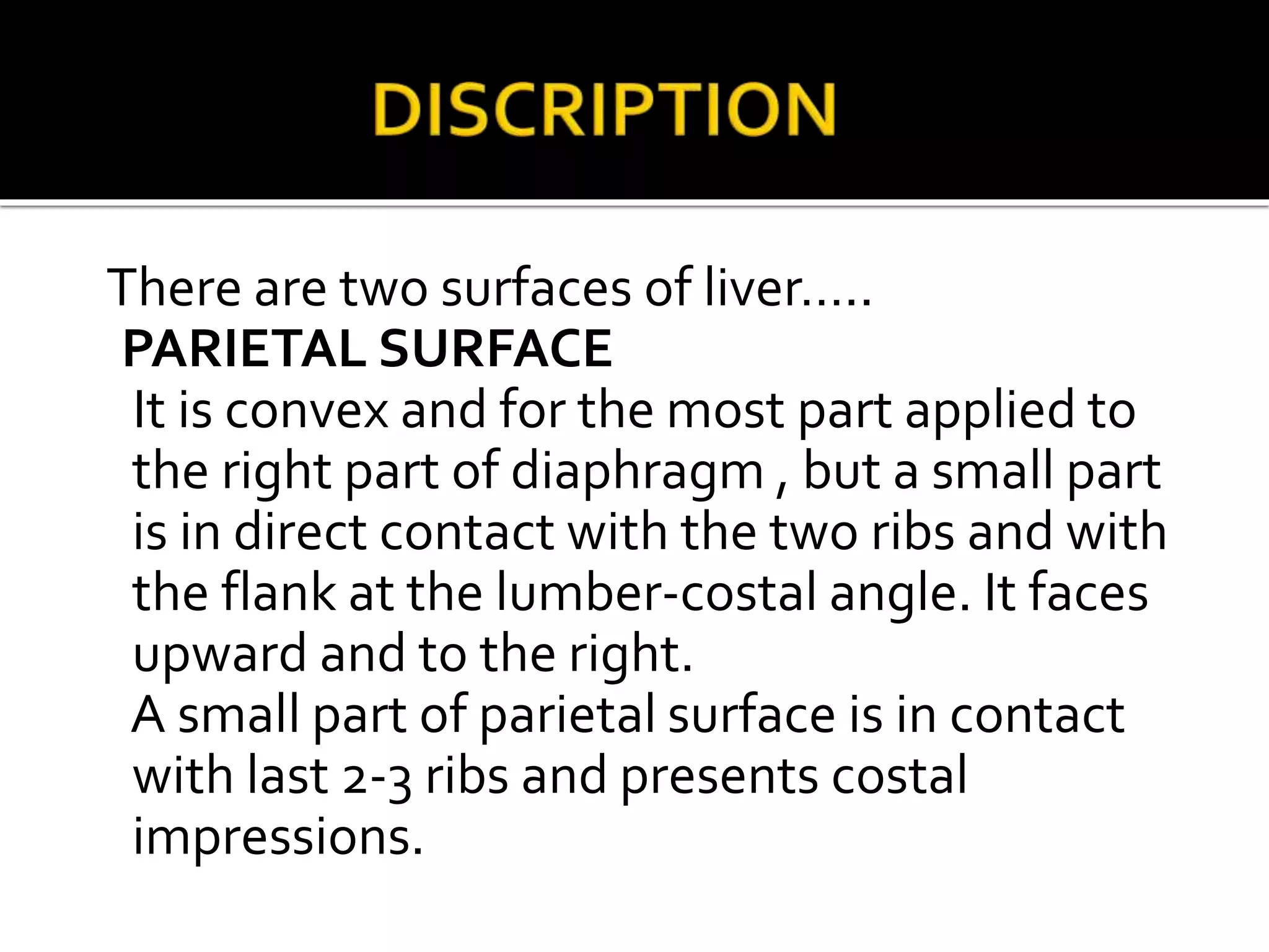 Anatomy of goat liver | PPTX