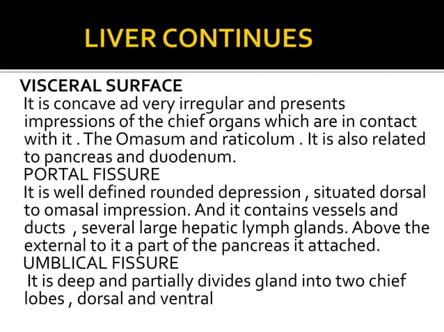 Anatomy of goat liver | PPTX