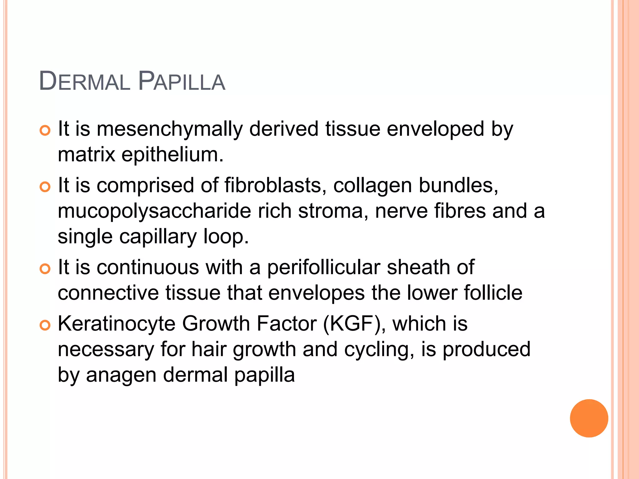 Anatomy of hair and hair cycle | PPTX