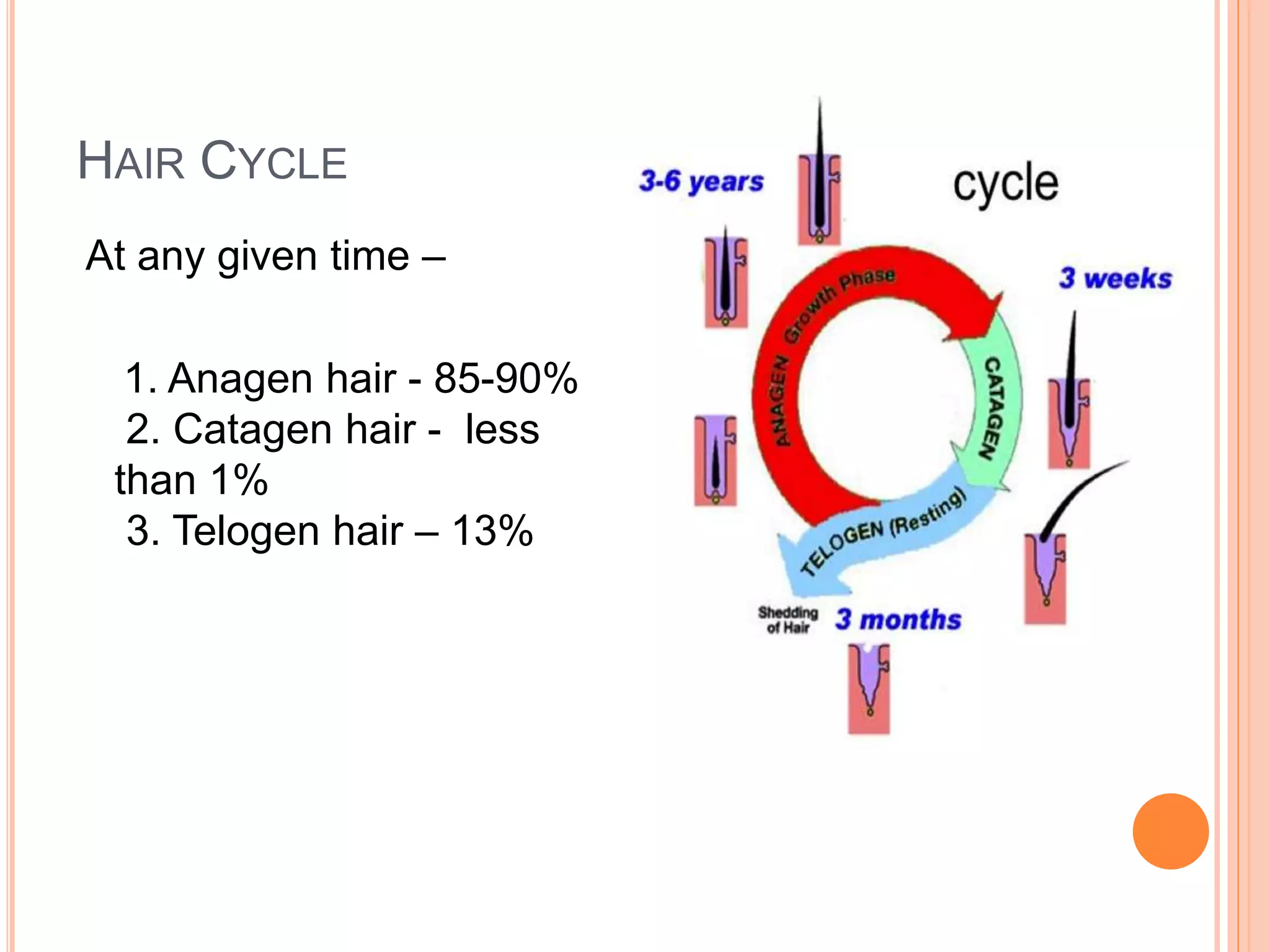 Anatomy of hair and hair cycle | PPTX