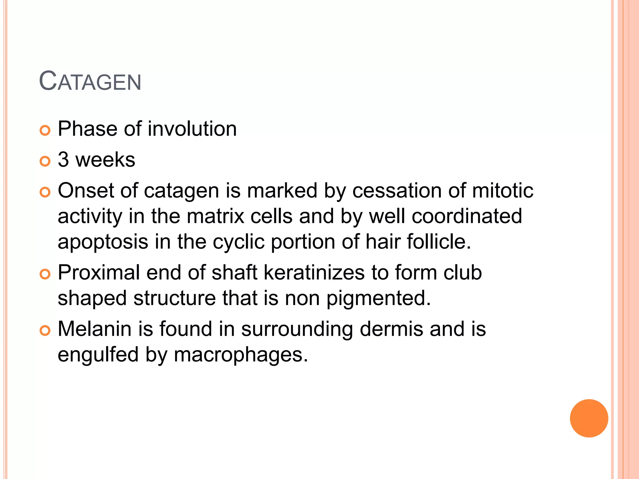 Anatomy of hair and hair cycle | PPTX