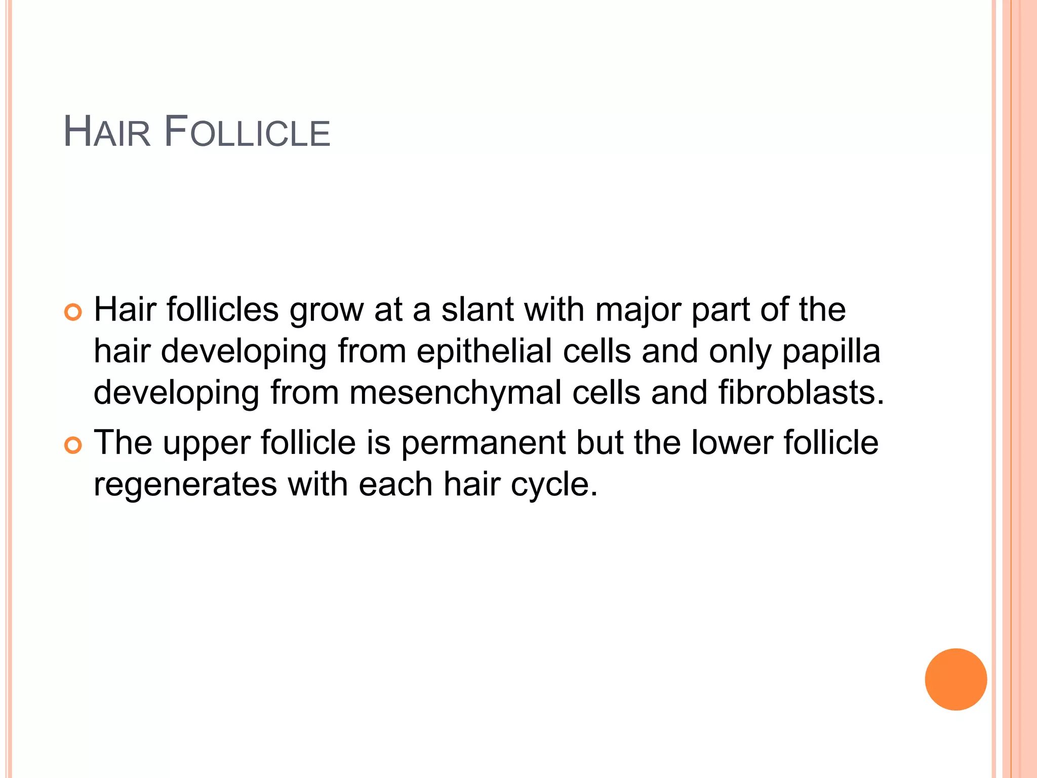 Anatomy of hair and hair cycle | PPTX