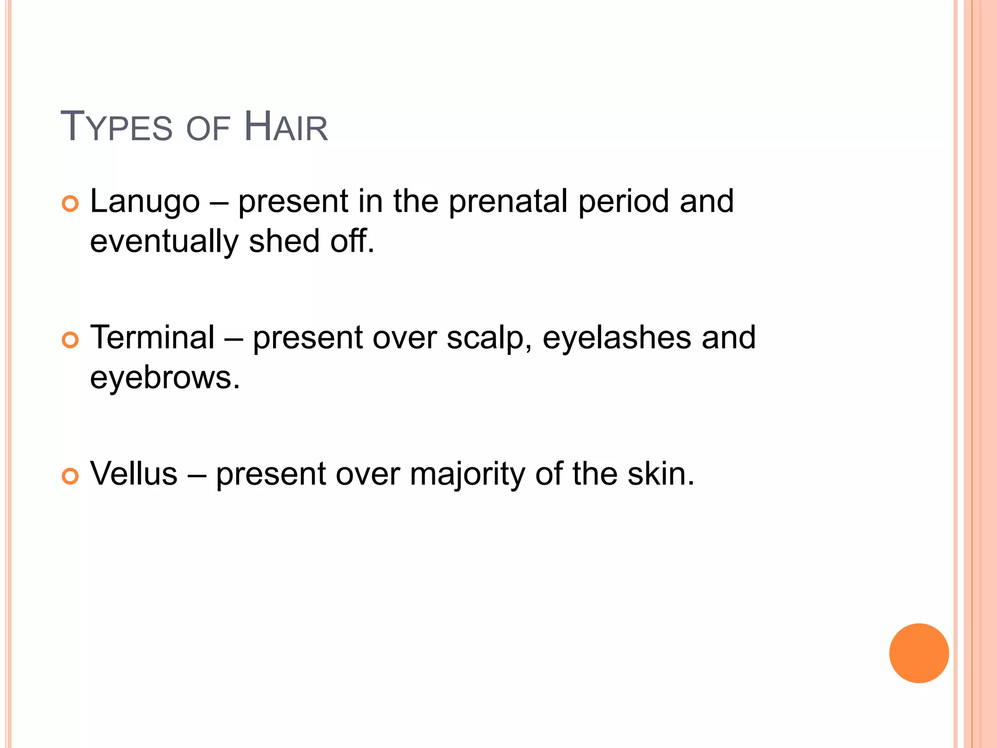 Anatomy of hair and hair cycle | PPTX | Hair Care | Beauty