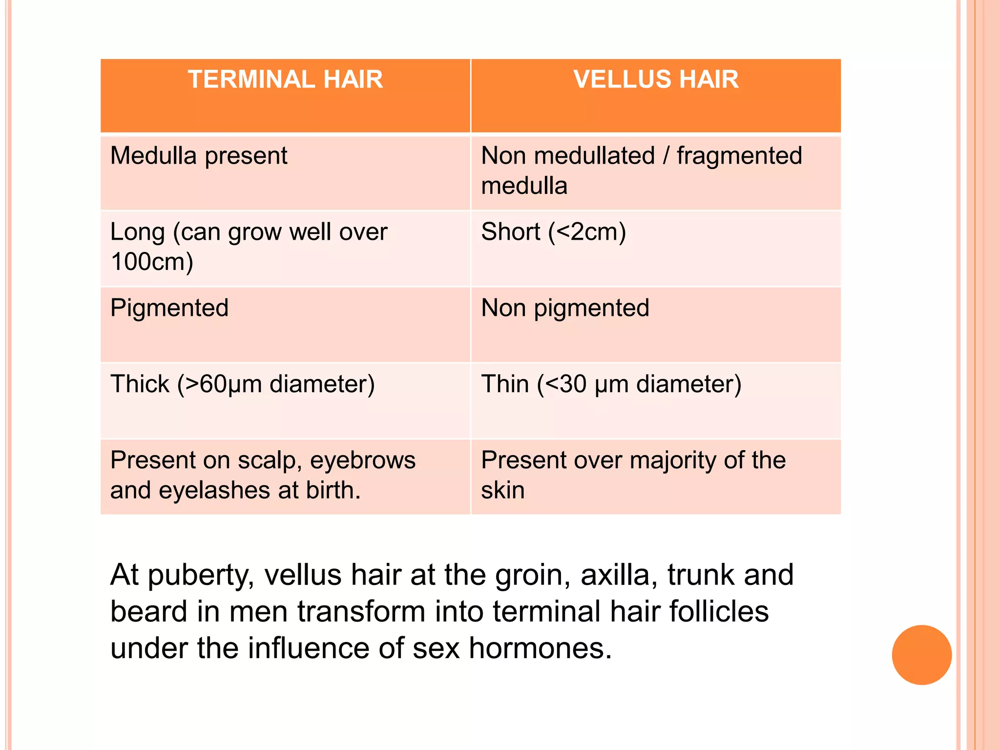 Anatomy of hair and hair cycle | PPTX | Hair Care | Beauty