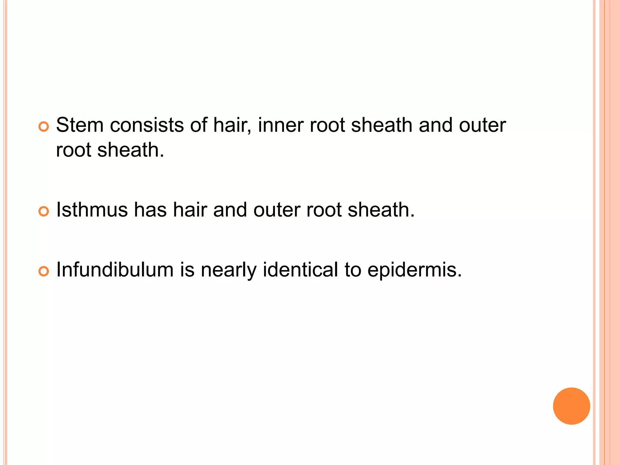 Anatomy of hair and hair cycle | PPTX