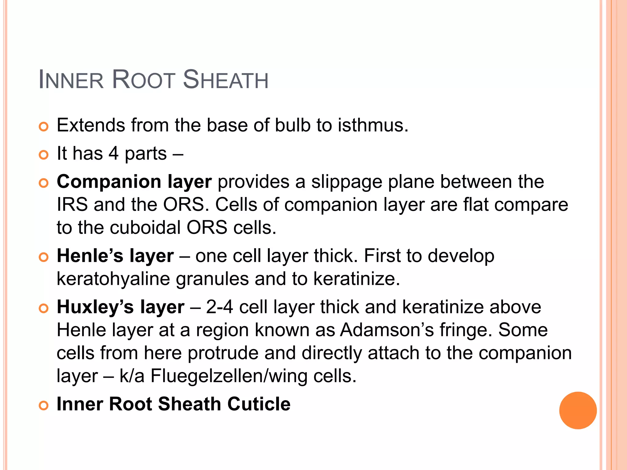 Anatomy of hair and hair cycle | PPTX