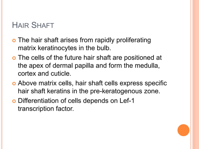 Anatomy of hair and hair cycle | PPTX | Hair Care | Beauty