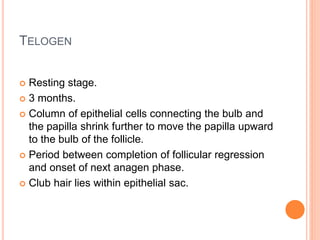 Anatomy of hair and hair cycle | PPTX | Hair Care | Beauty