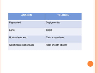 Anatomy of hair and hair cycle | PPTX