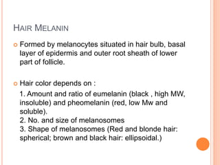 Anatomy of hair and hair cycle | PPT