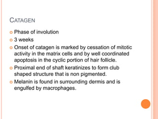 Anatomy of hair and hair cycle | PPT