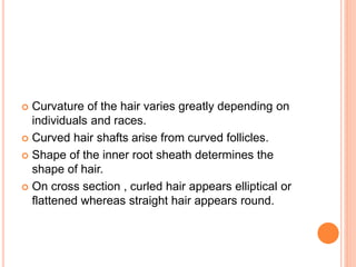 Anatomy of hair and hair cycle | PPT