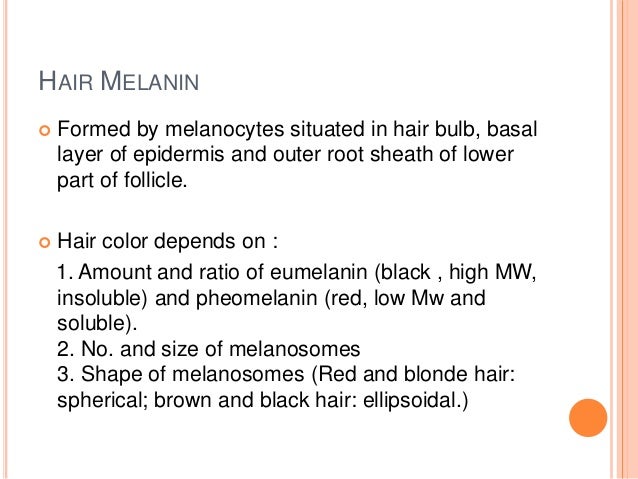Anatomy of hair and hair cycle