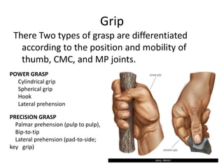 Anatomy of hand-1.pptx