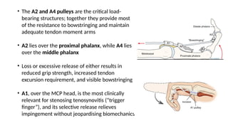 ANATOMY OF HAND and the basics in play surgery | PPTX