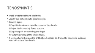 Anatomy of Hand Spaces - detailed description | PPTX