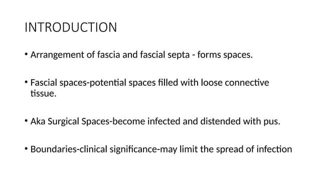 Anatomy of Hand Spaces - detailed description | PPTX