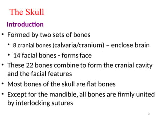 ANATOMY OF HEAD-latest - Copy.ppt presentation | PPT