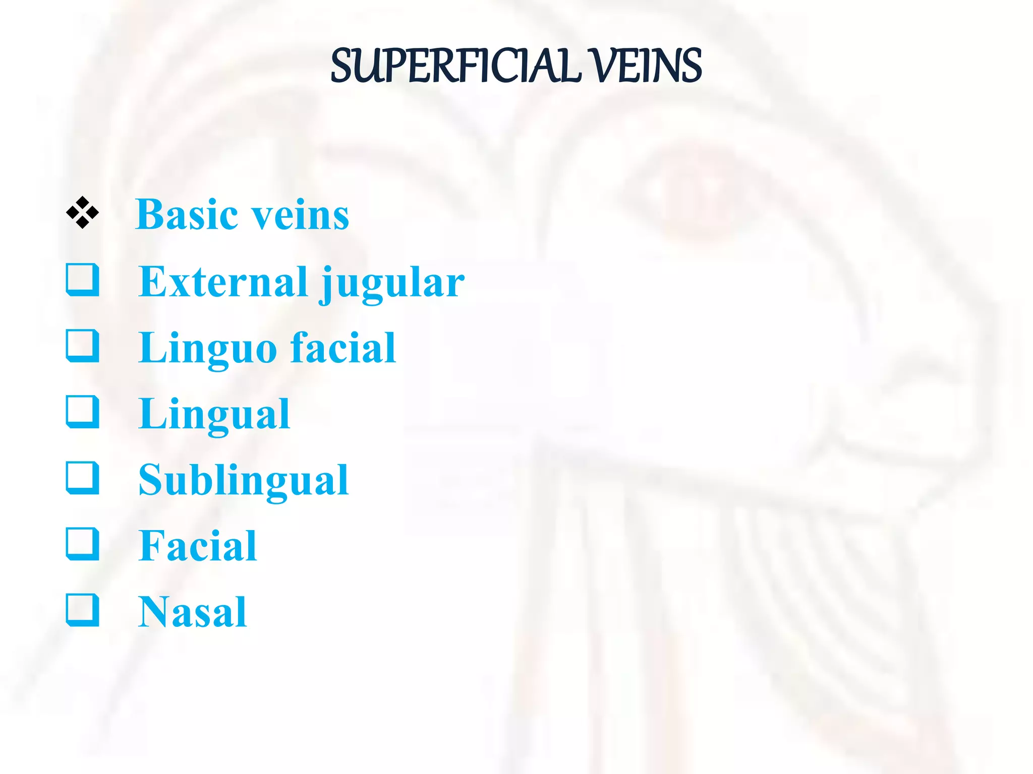 Anatomy of head and cervical region of goat | PPTX