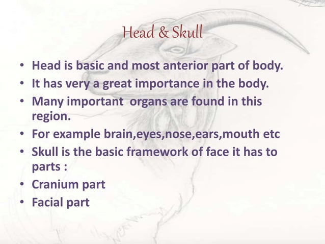 Anatomy of head and cervical region of goat | PPTX