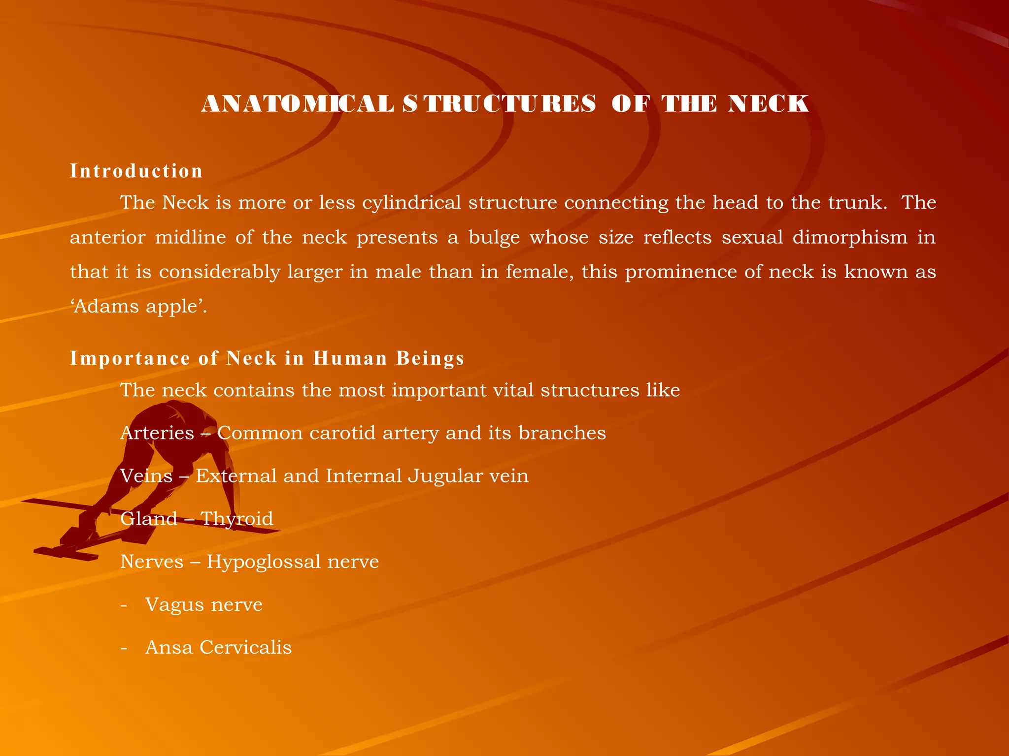 Anatomy of head and neck | PPT