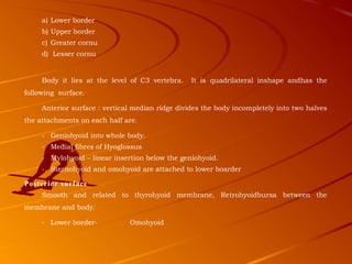 Anatomy of head and neck | PPT