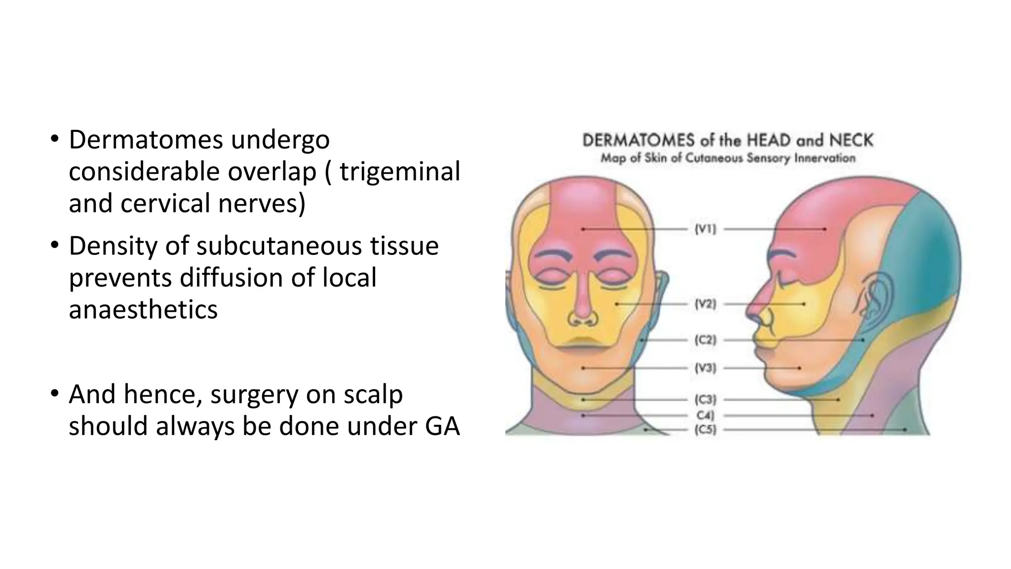 anatomy of scalp, temple and face - Copy.pptx