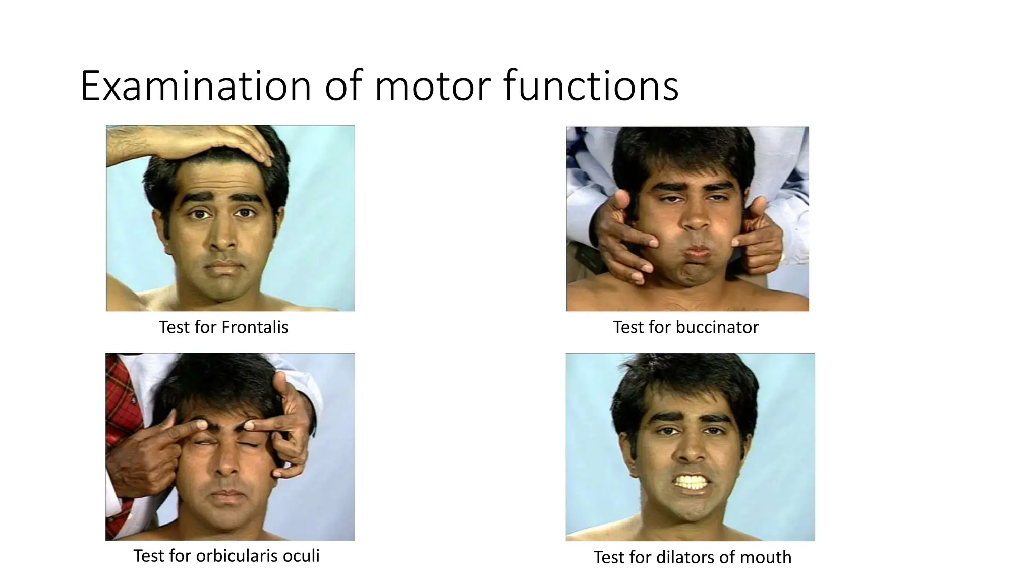 anatomy of scalp, temple and face - Copy.pptx