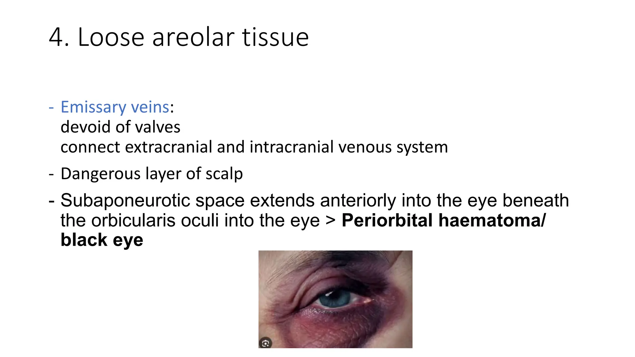 anatomy of scalp, temple and face - Copy.pptx
