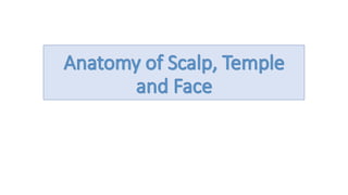 anatomy of scalp, temple and face - Copy.pptx