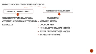 Anatomy of head and neck spaces.pptx cav | PPTX