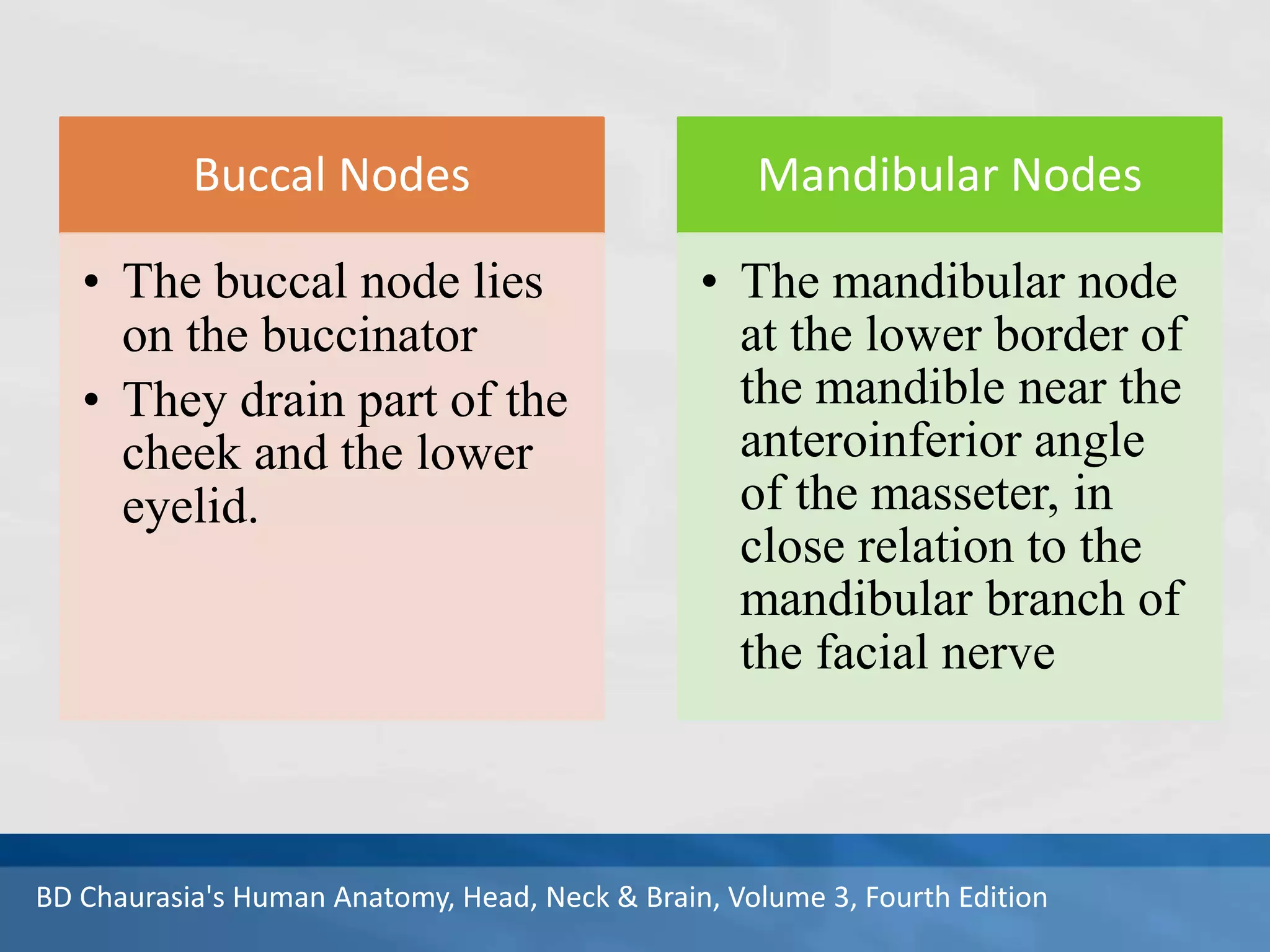 Lymph nodes of head & neck, Normal anatomy and its applied aspect | PPTX