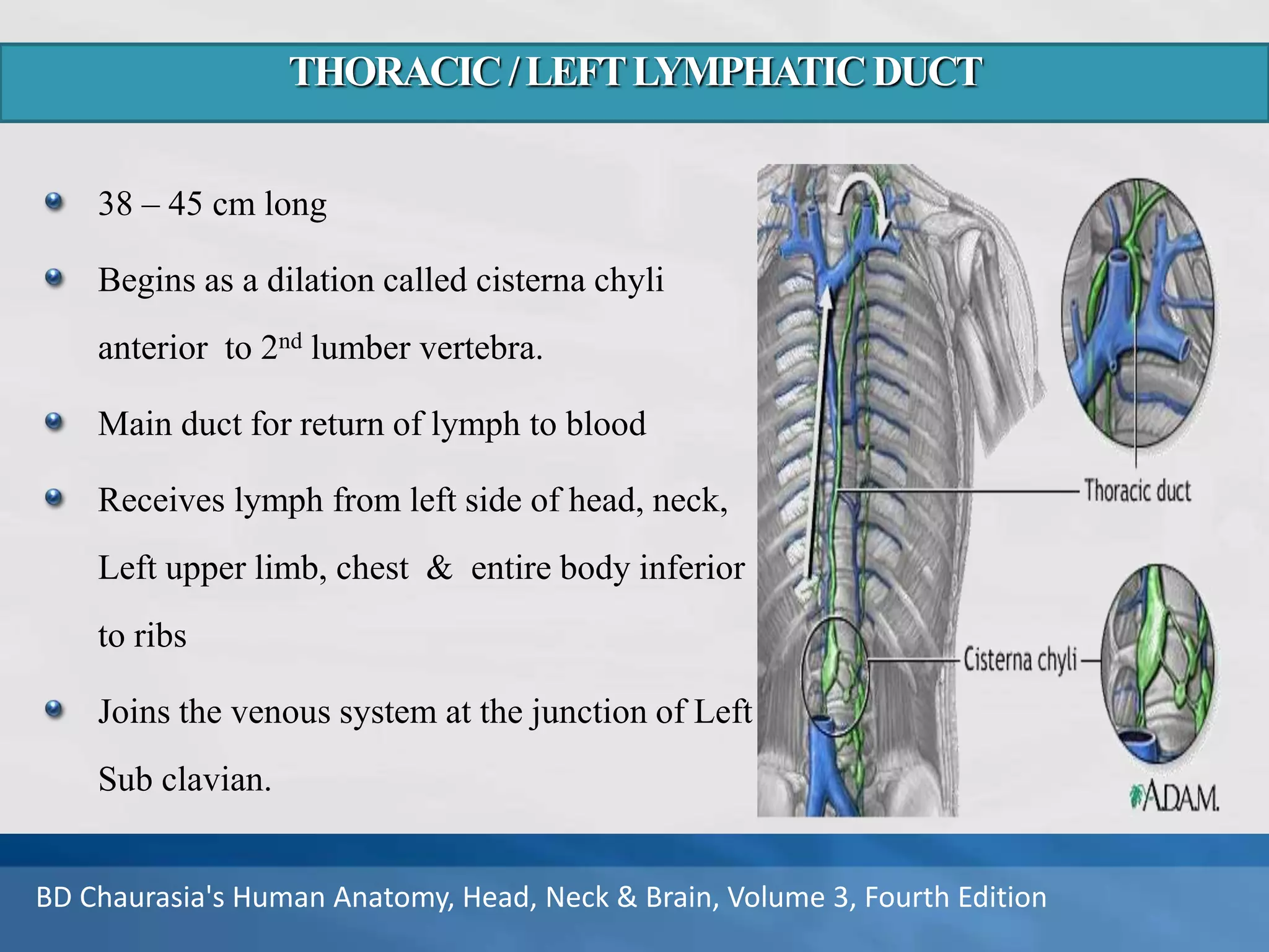 Lymph nodes of head & neck, Normal anatomy and its applied aspect | PPTX
