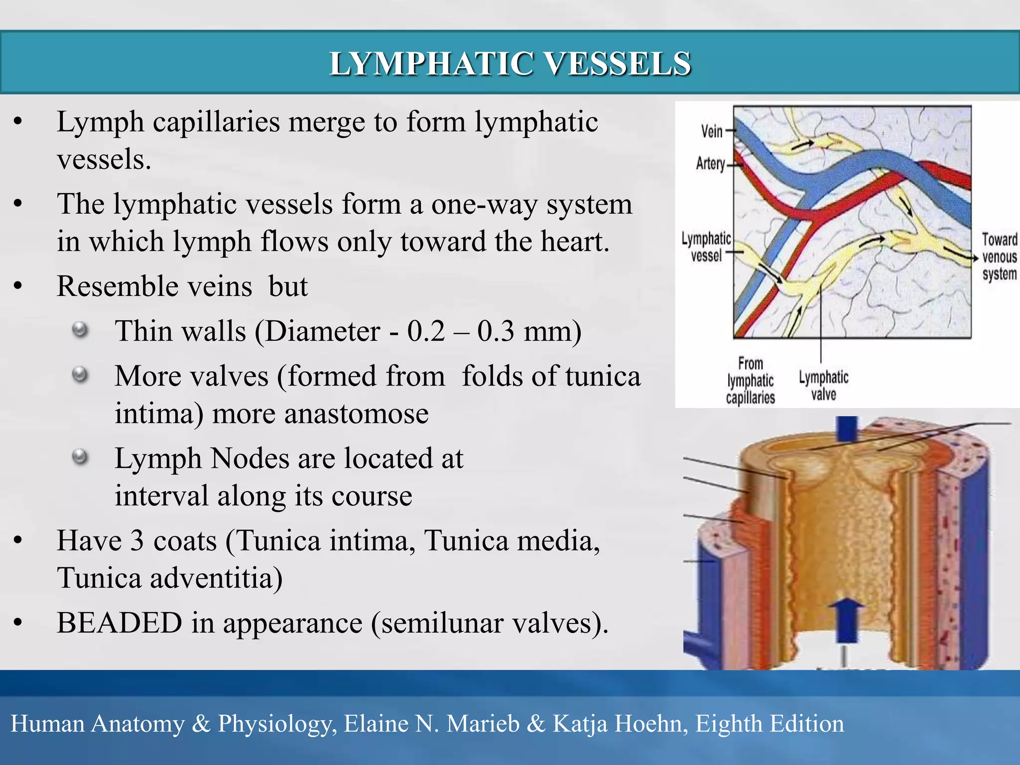 Lymph nodes of head & neck, Normal anatomy and its applied aspect | PPTX