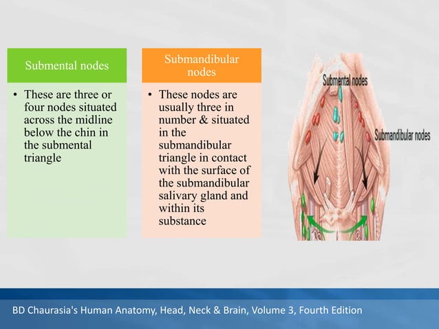 Lymph nodes of head & neck, Normal anatomy and its applied aspect | PPTX