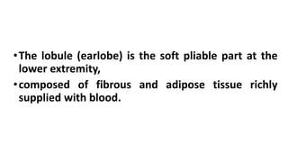 Anatomy of hearing and ear | PPTX