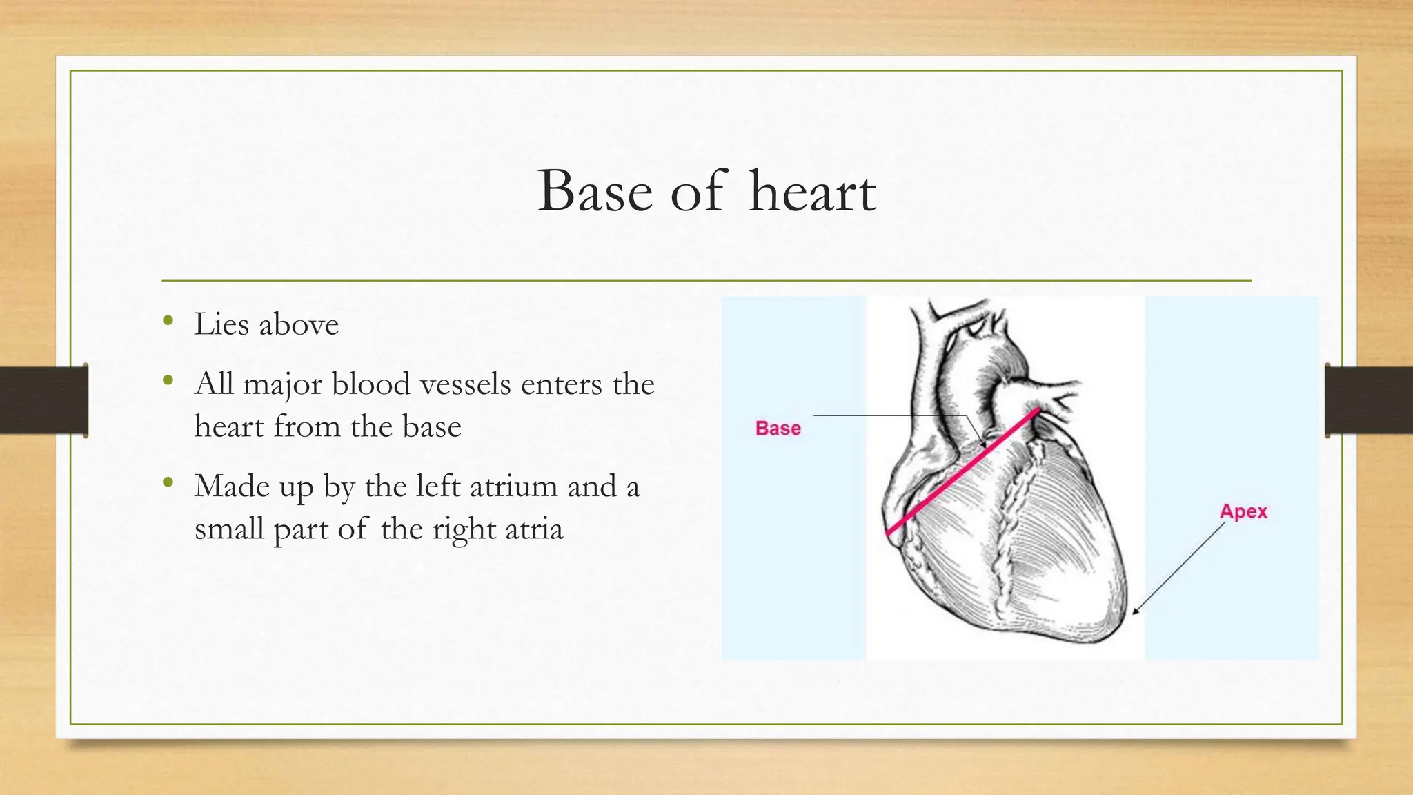 Anatomy of Heart- Internal structures pt | PPTX