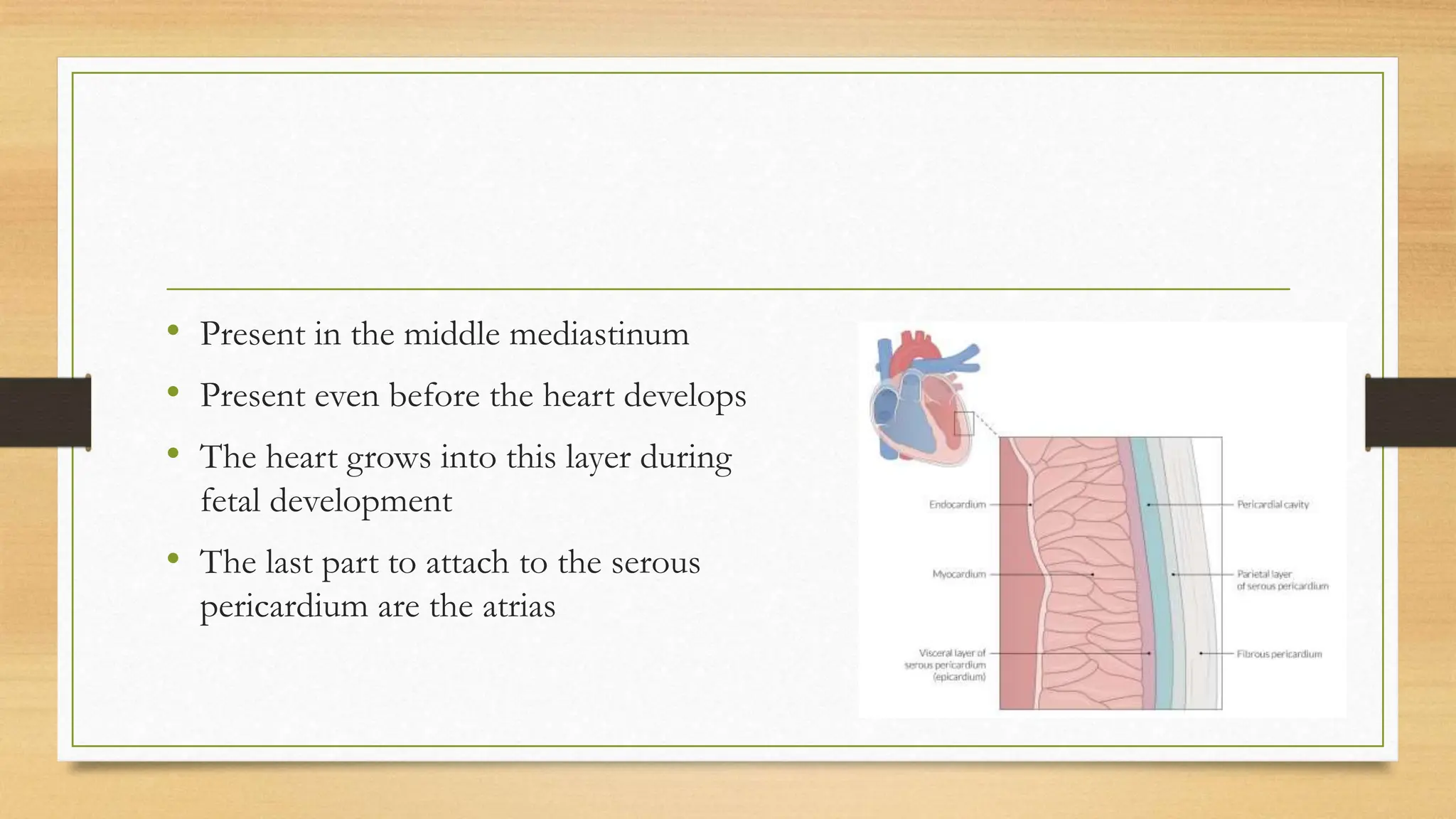 Anatomy of Heart- Internal structures pt | PPTX