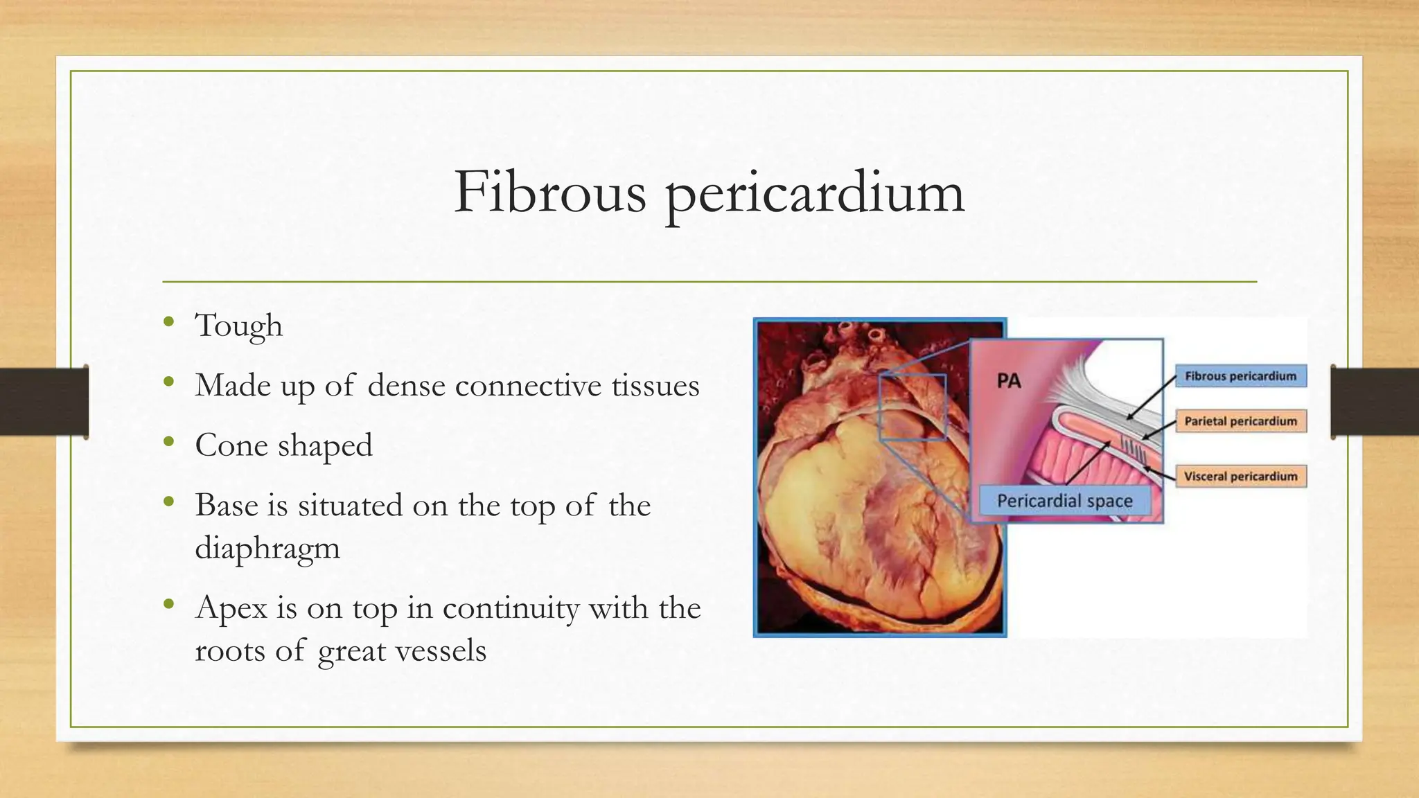 Anatomy of Heart- Internal structures pt | PPTX