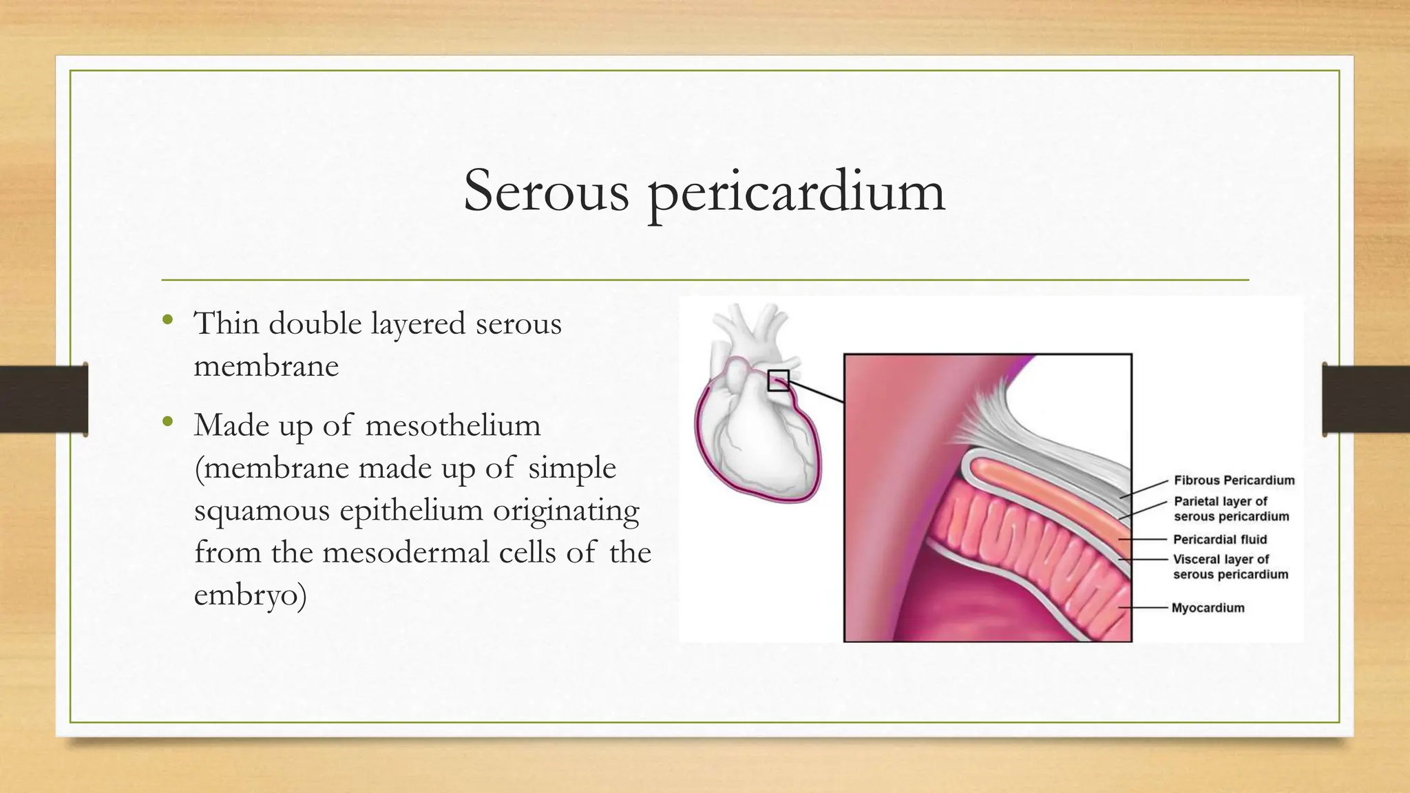 Anatomy of Heart- Internal structures pt | PPTX
