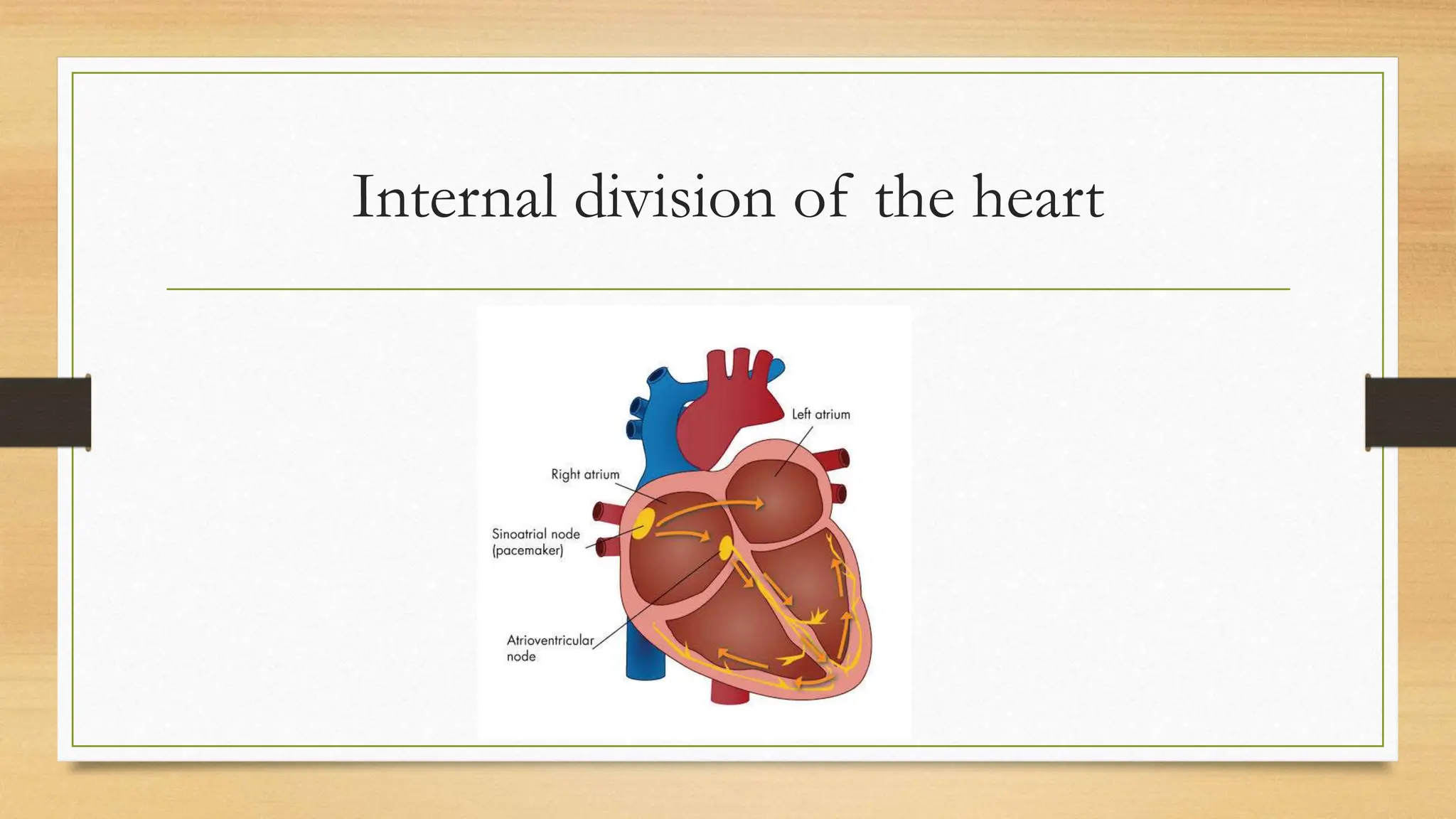 Anatomy of Heart- Internal structures pt | PPTX