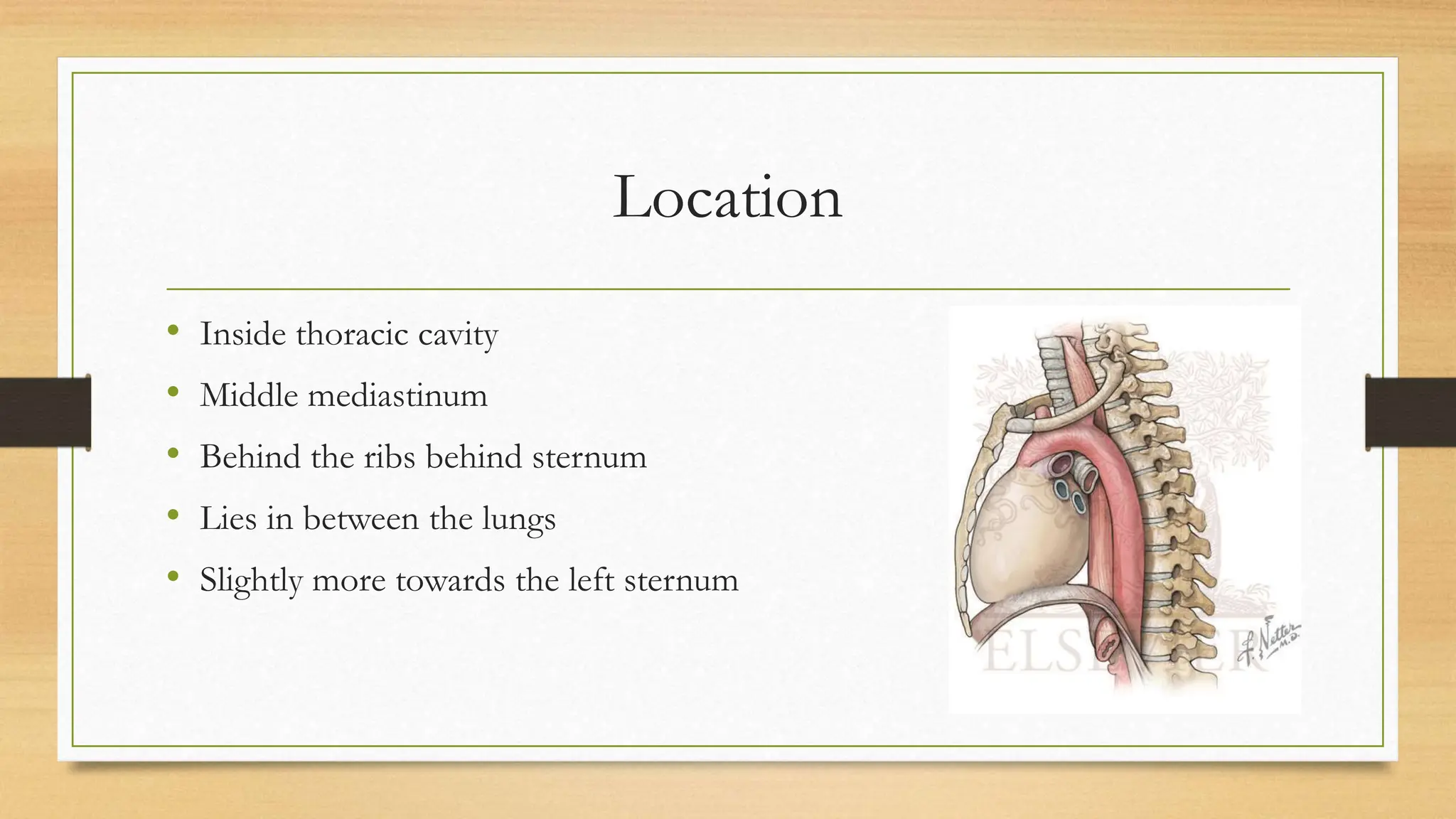 Anatomy of Heart- Internal structures pt | PPTX