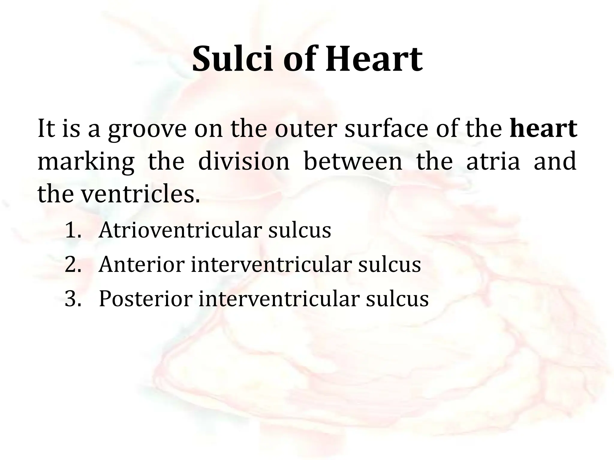 anatomy and physiology of heart..ppt.... | PPSX