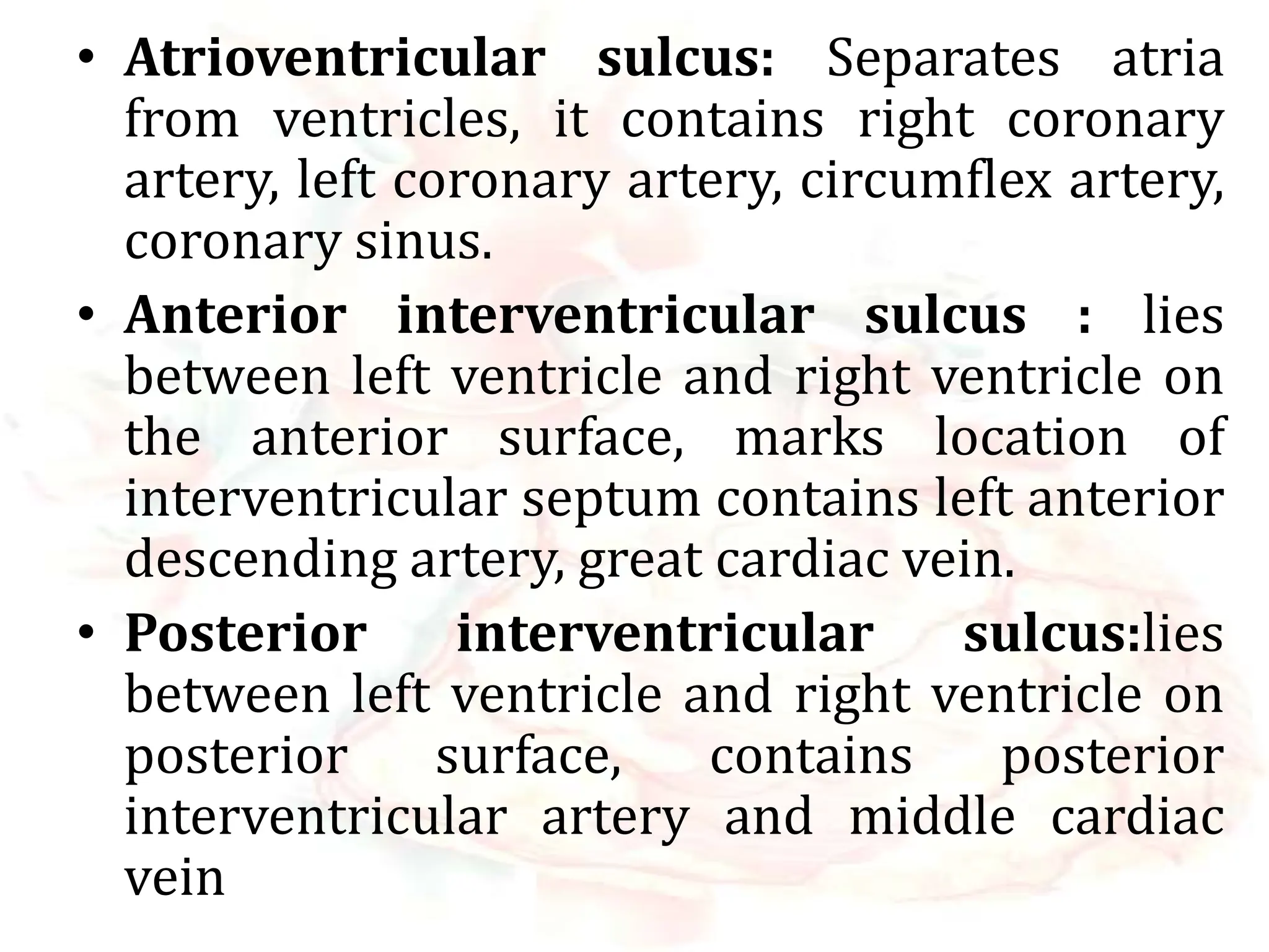 anatomy and physiology of heart..ppt.... | PPSX