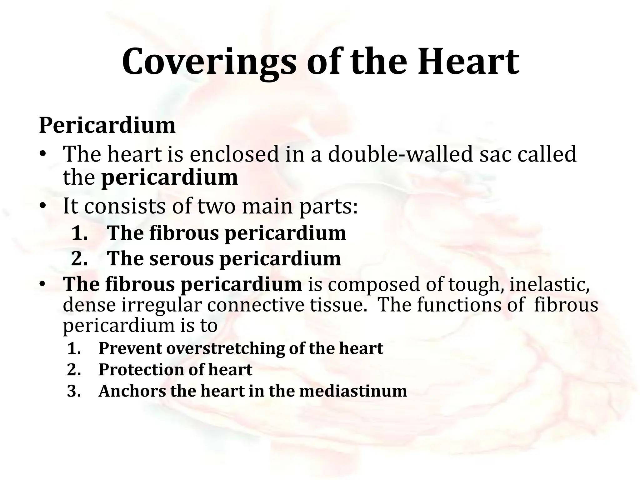 anatomy and physiology of heart..ppt.... | PPSX