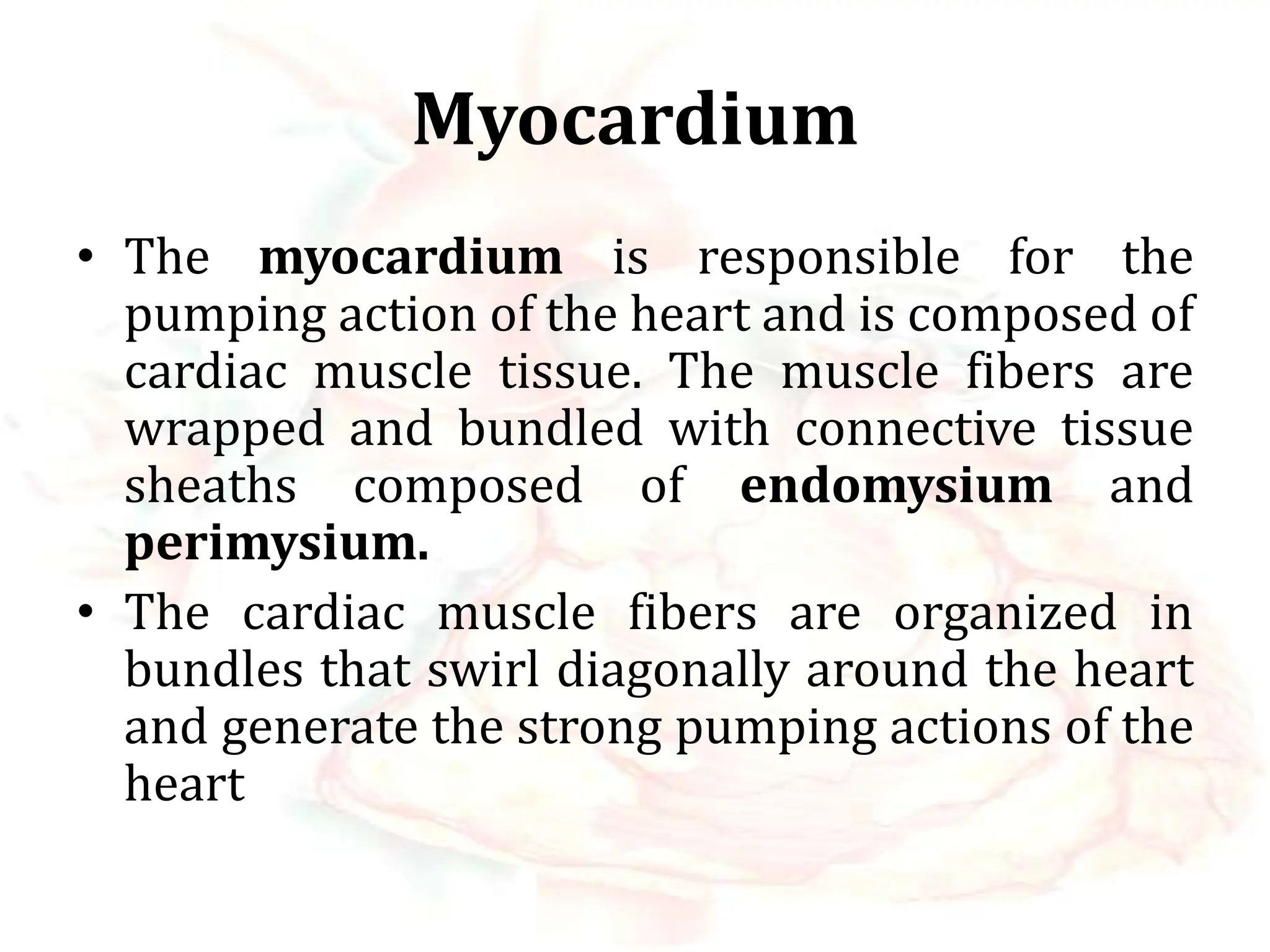 anatomy and physiology of heart..ppt.... | PPSX