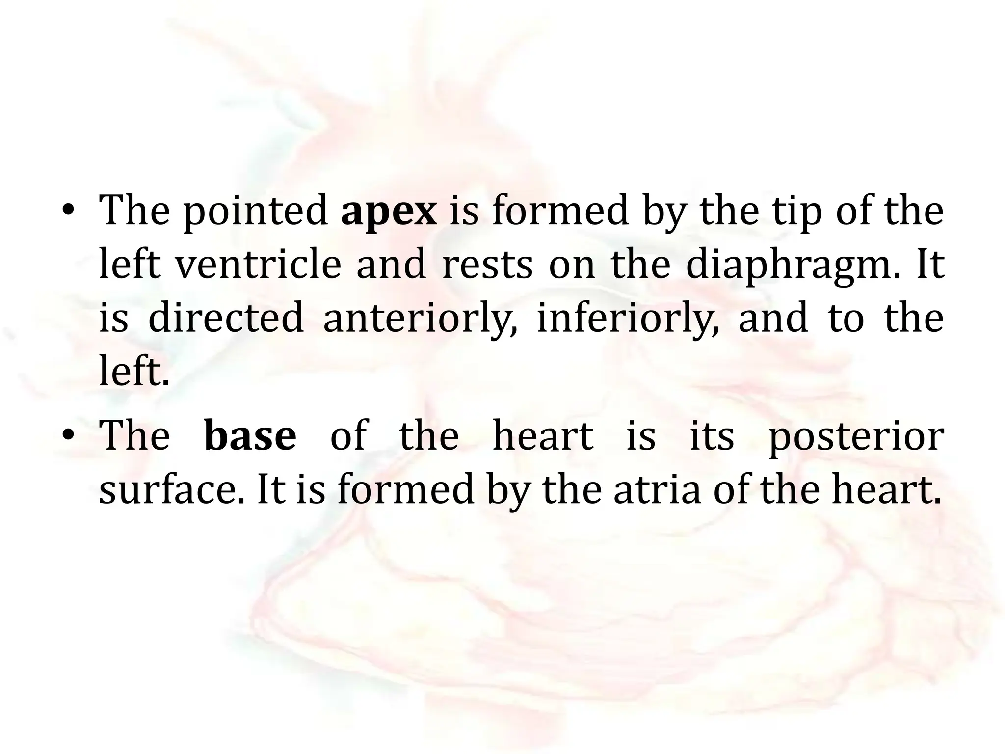 anatomy and physiology of heart..ppt.... | PPSX