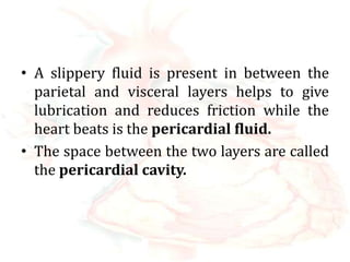 anatomy and physiology of heart..ppt.... | PPSX