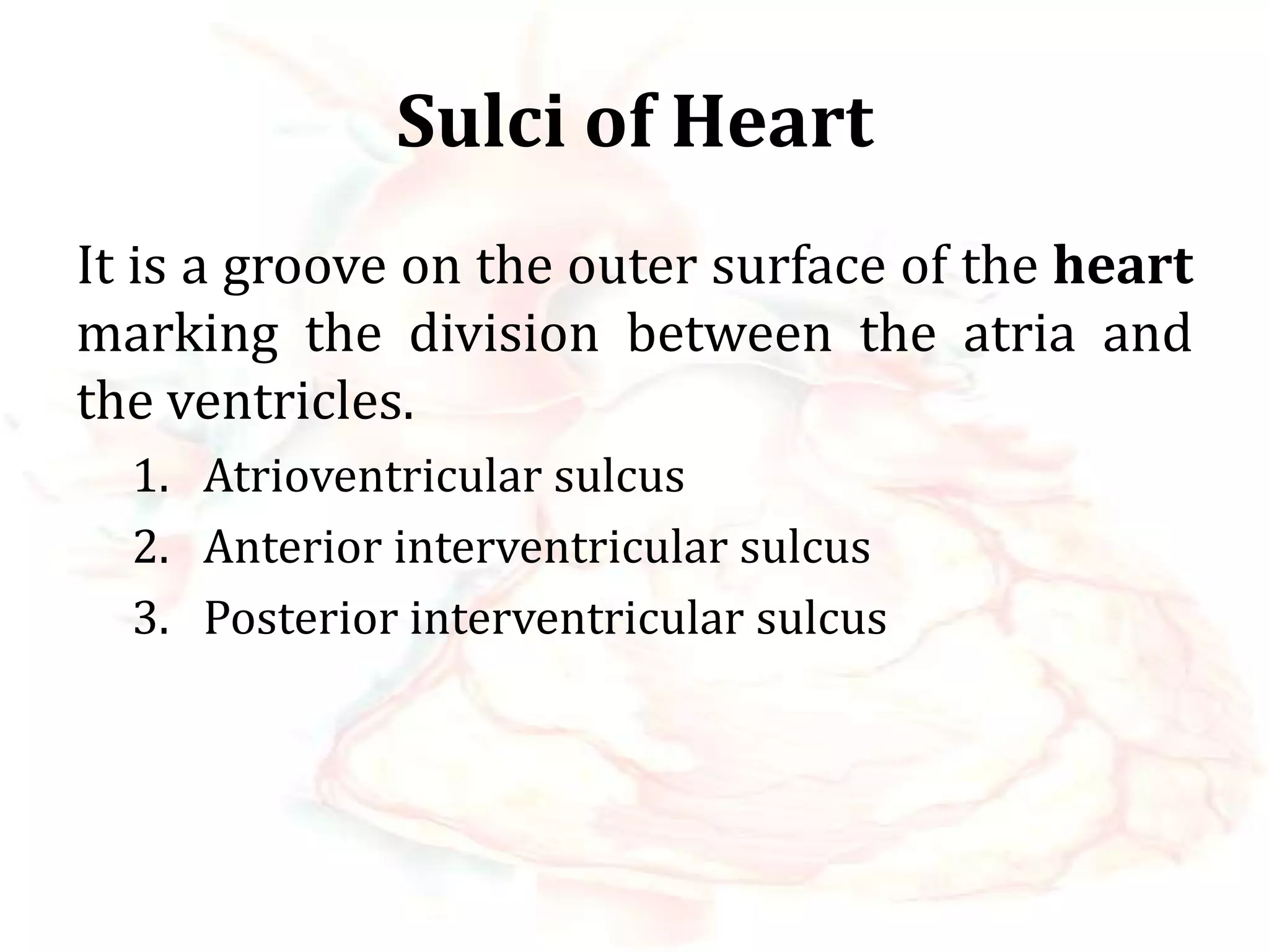 Anatomy of heart | PPSX